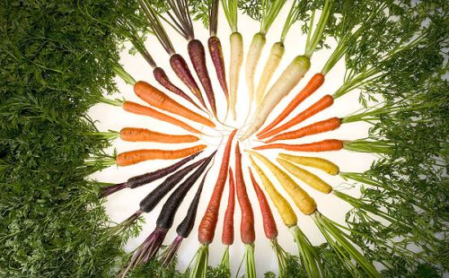 Vegatopia - Groente van de week: wortels